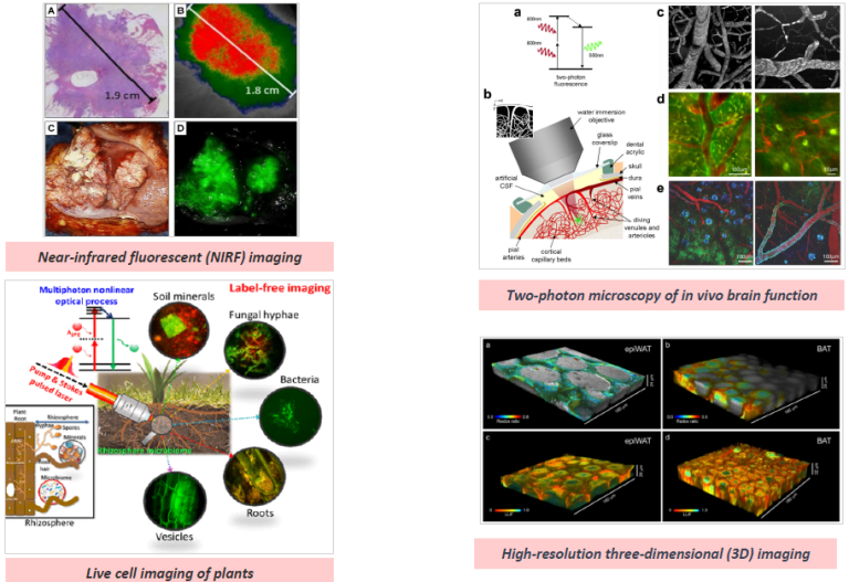 Enhanced Spectral Imaging with Tunable Laser Systems | RPMC