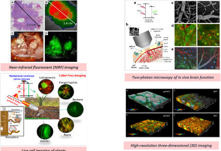 Enhanced Spectral Imaging with Tunable Laser Systems | RPMC