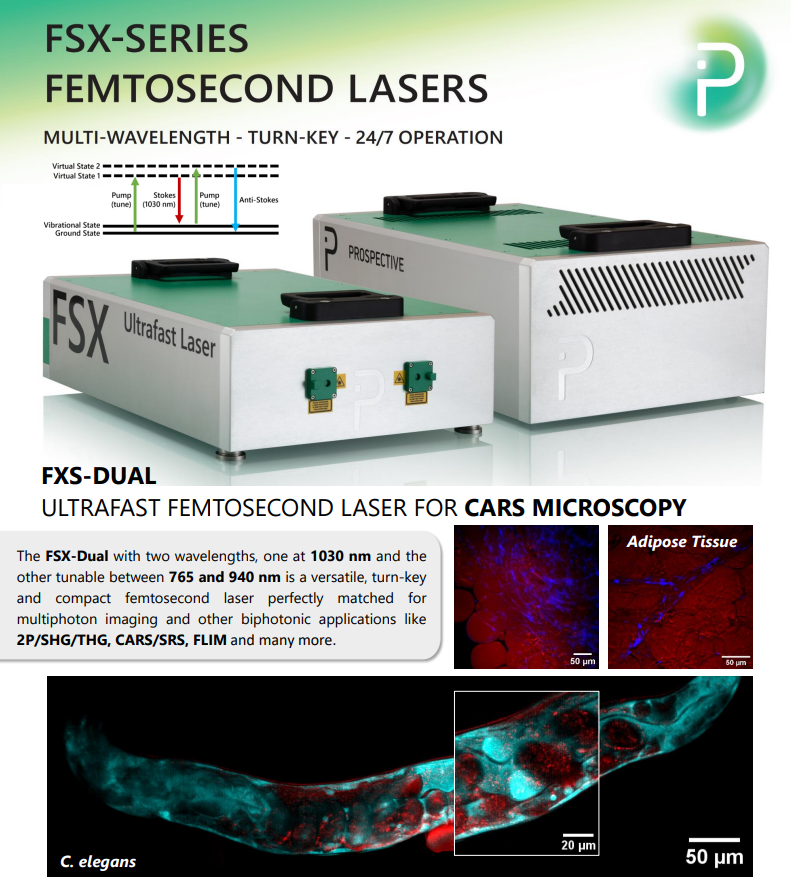 FSX: Ultra Low-Noise Tunable fs Lasers for microscopy | RPMC